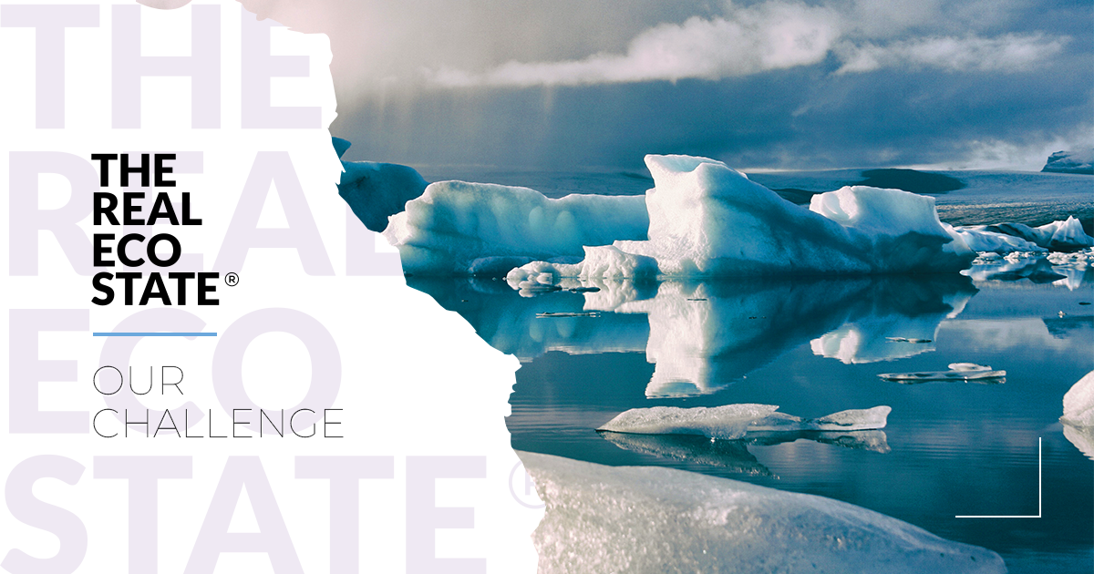 The Real Eco State | Our challenge