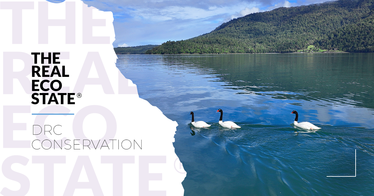 The Real Eco State | Conservation Easement