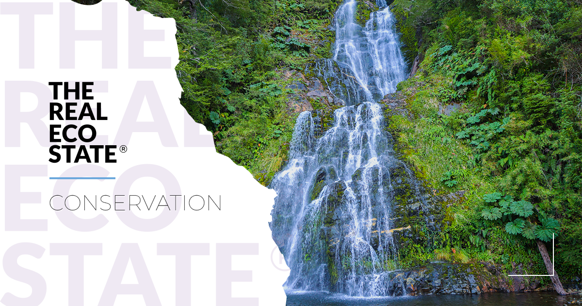 The Real Eco State | Conservation