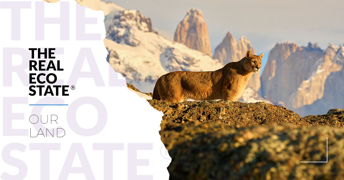 The Real Eco State | Our land