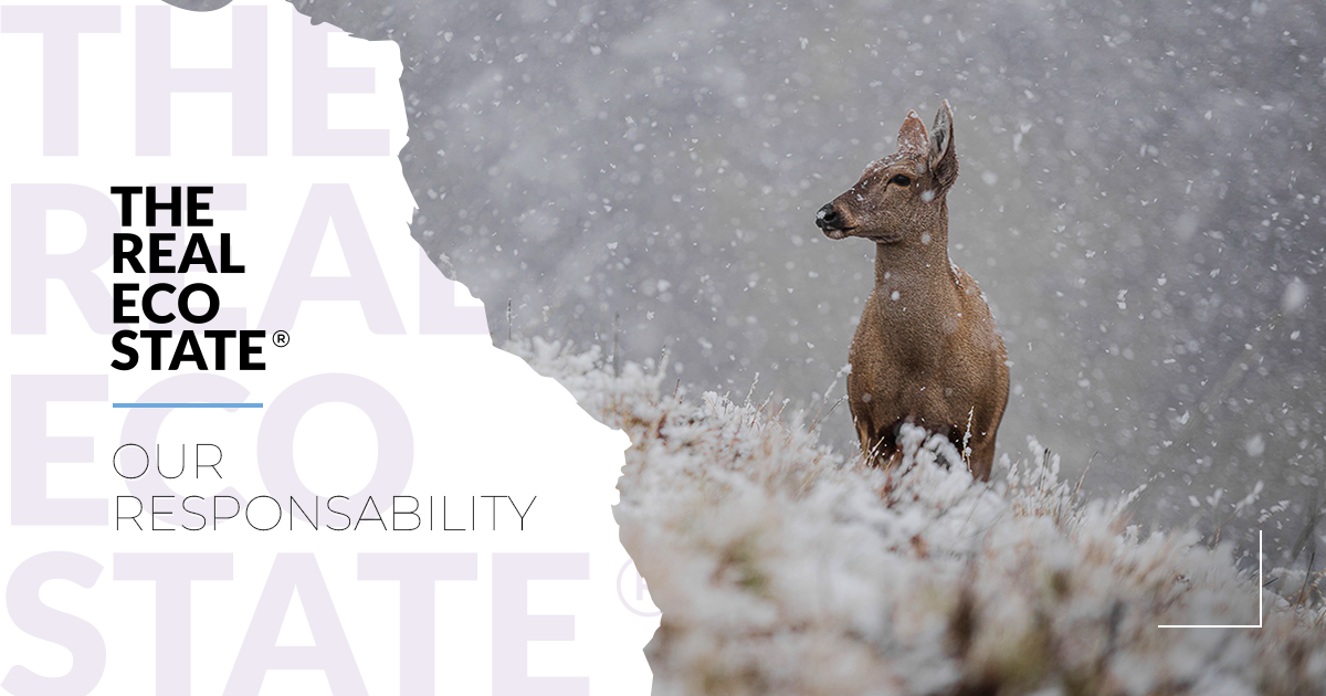 The Real Eco State | Our responsibility