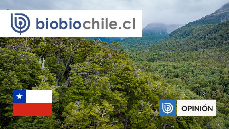 The Real Eco State | No tengamos miedo de salvar al medioambiente a ...