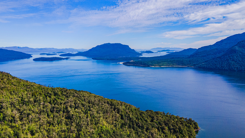 The Real Eco State | Invertir en naturaleza